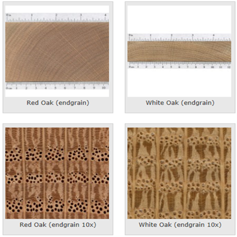 The Two Oaks and Tannin Pull